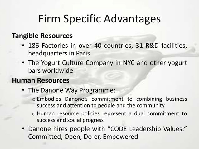 Danone International Case Study | PPTX