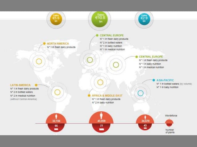 Danone International Case Study | PPTX