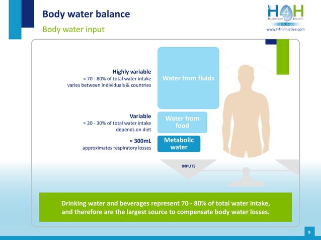 Water And Hydration Physiological Basis In Adults
