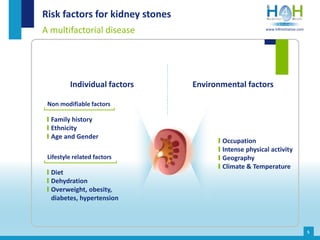 Water intake and Kidney Stones | PPTX | Digestive Disorders | Diseases ...