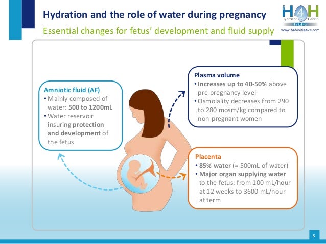 Hydration in pregnancy and breastfeeding
