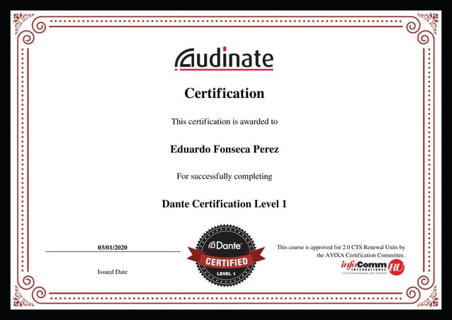 Dante certification level 1 | PDF