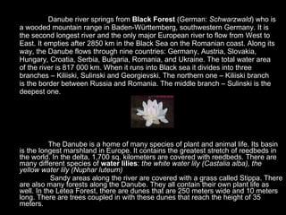 Danube Water Lilies | PPT