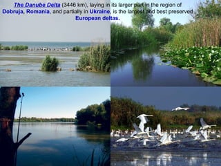 Danube delta | PPT