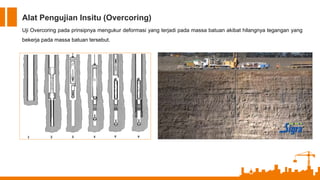 Danu mirza rezky (212190012) insitu dan induce stress | PPTX