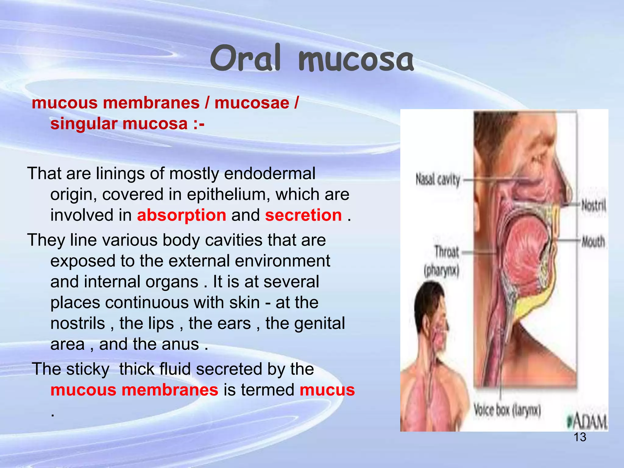 buccal drug delivery system | PPTX
