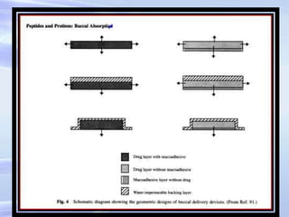 buccal drug delivery system | PPTX