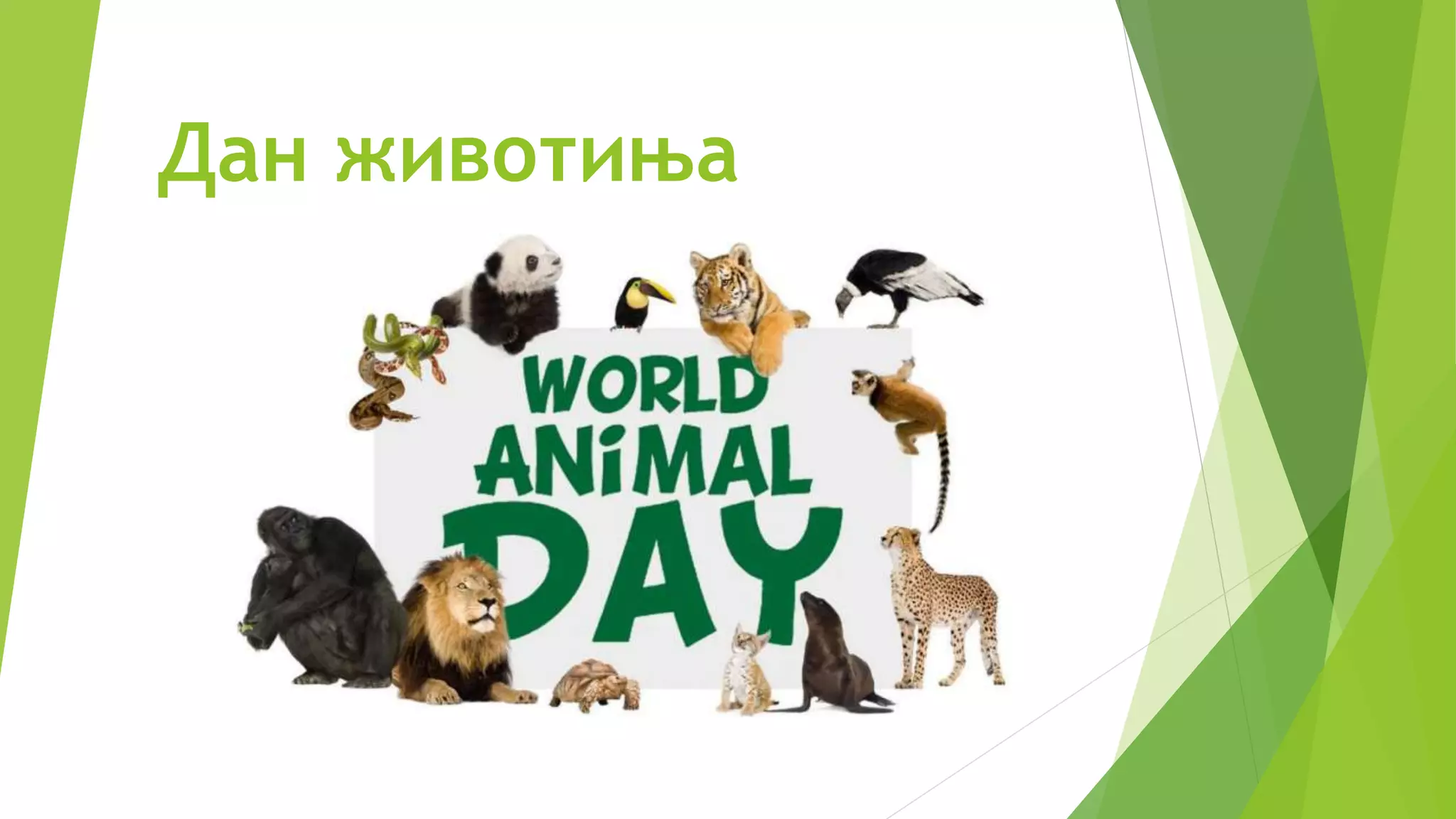 Dan zivotinja | PPT