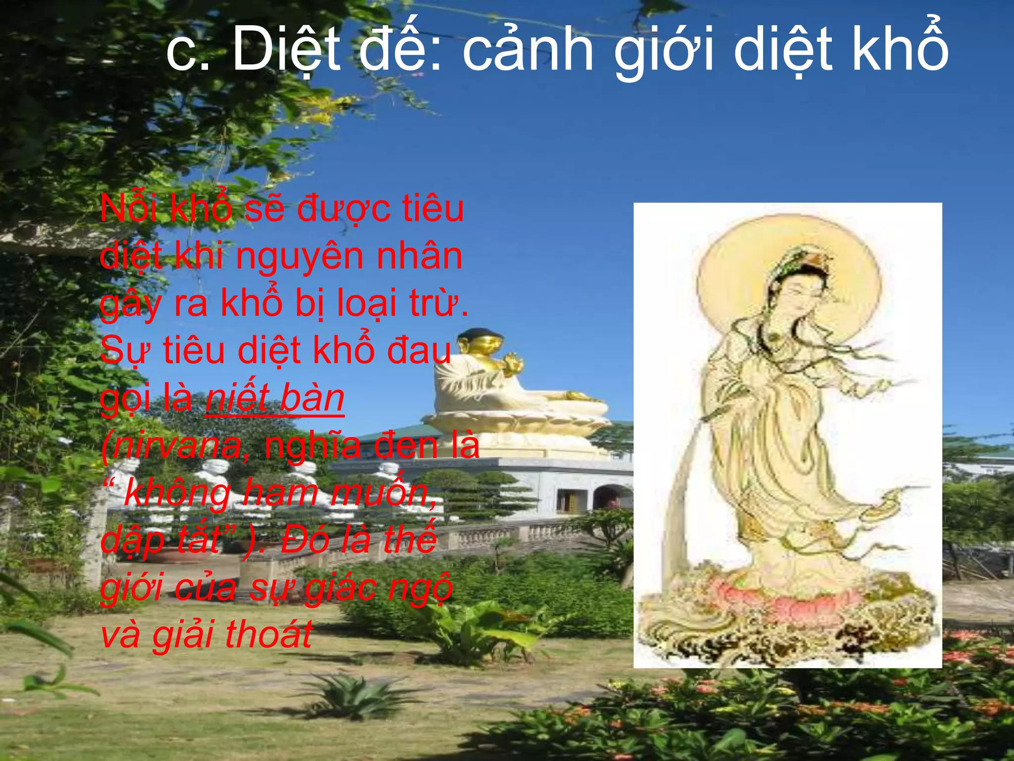Dao phat.ppt
