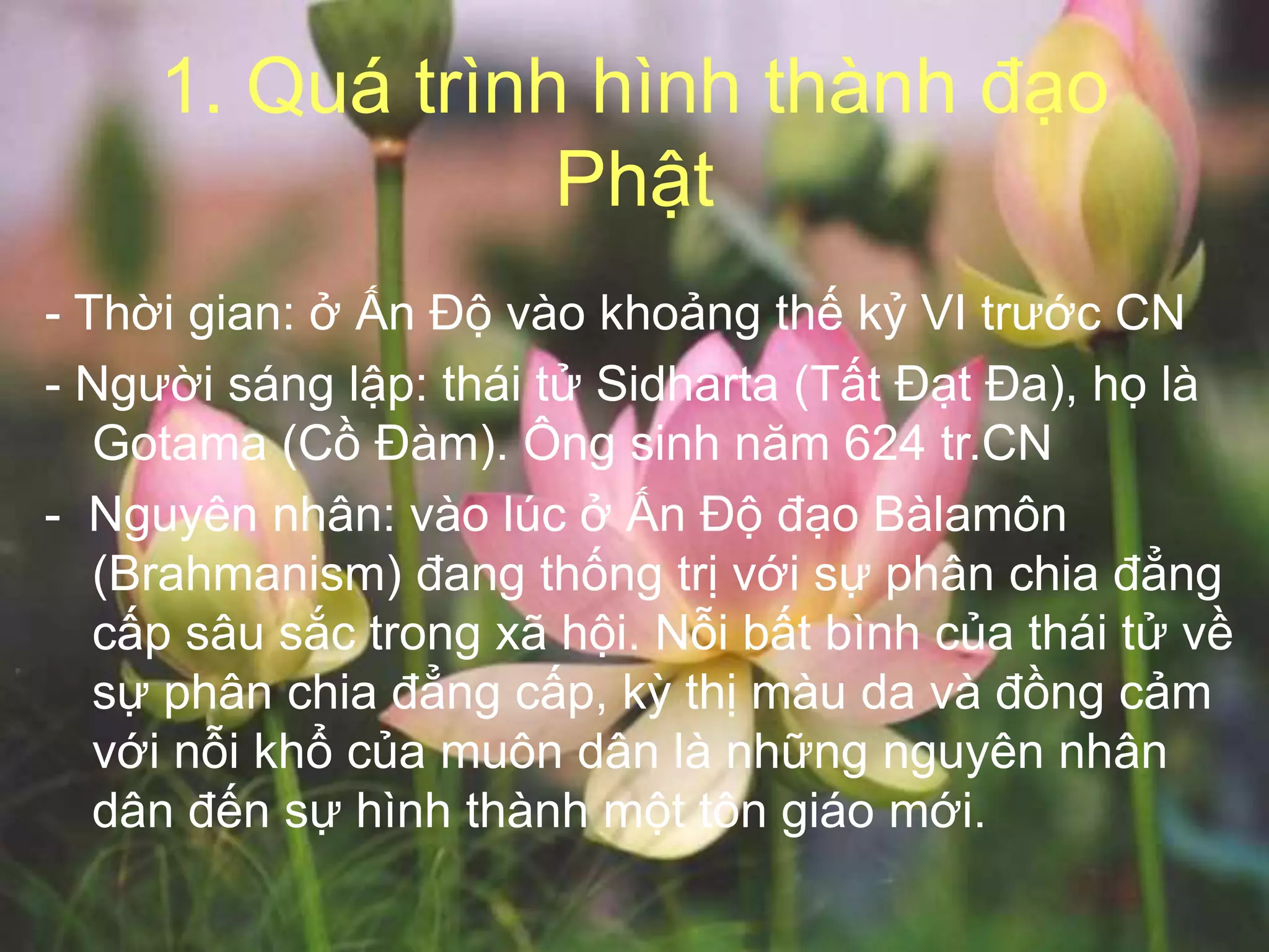 Dao phat.ppt