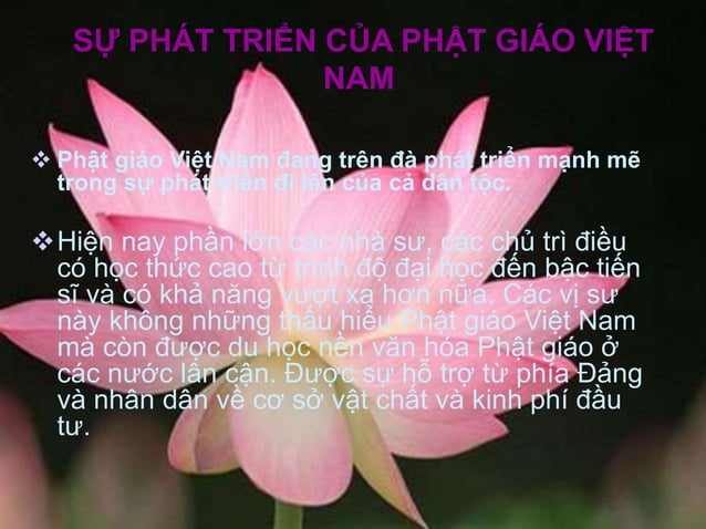 Dao phat.ppt