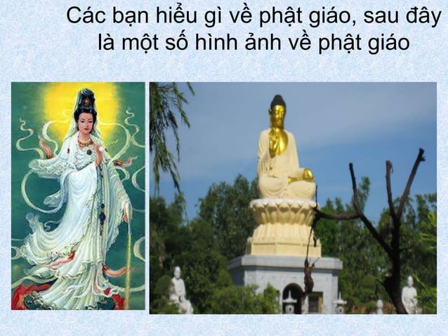Dao phat.ppt