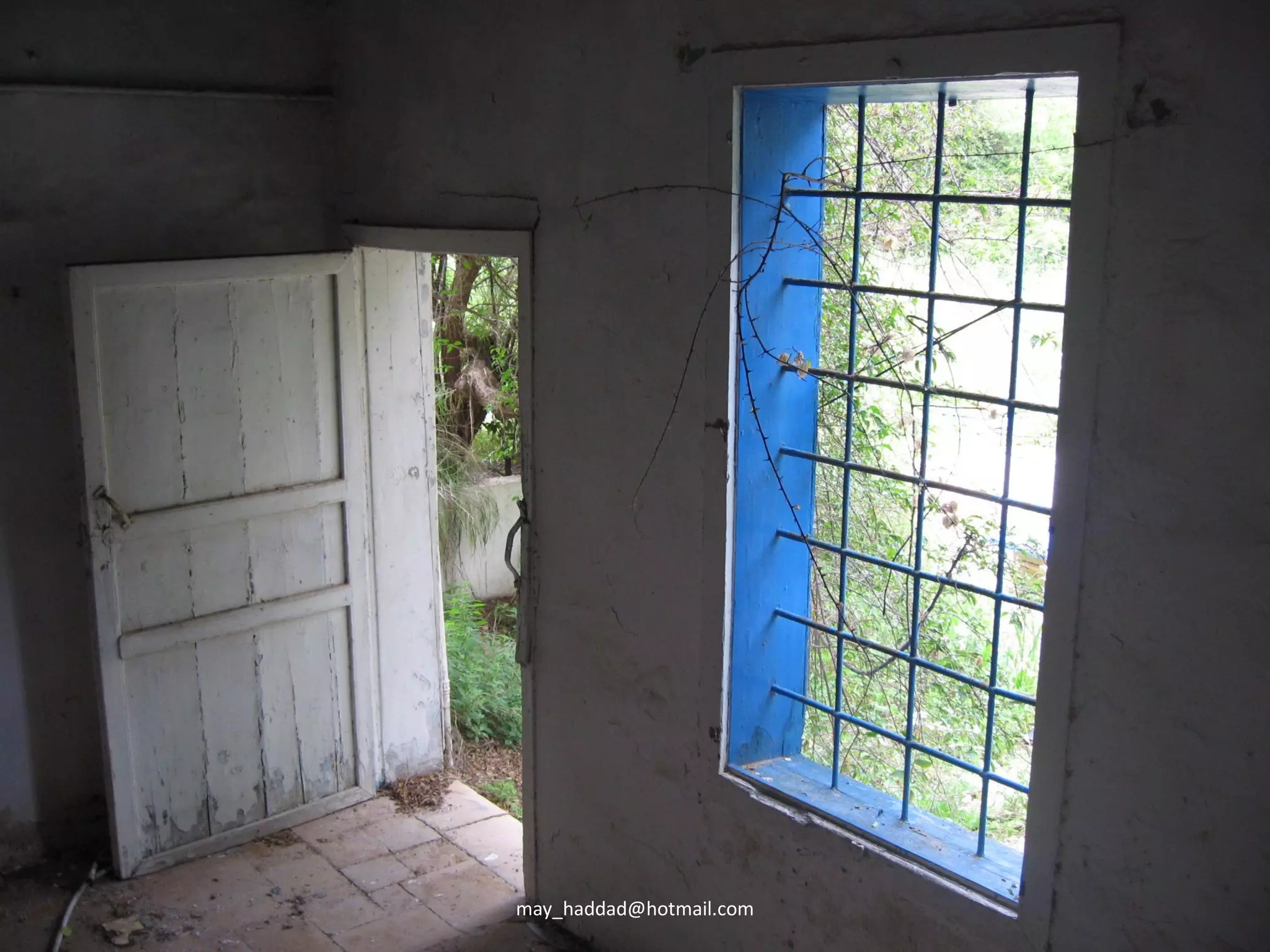 Daouk Palace_Bliss Street | PPT