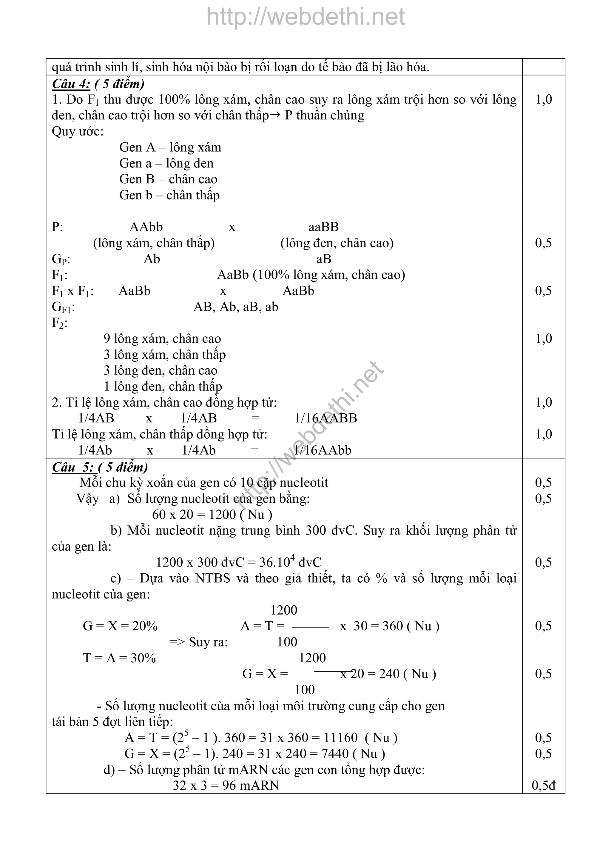 Dap an-de-thi-hoc-sinh-gioi-sinh-lop-9-chau-thanh | PDF