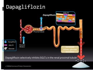 Dapagliflozin- a novel SGLT2 inhibitor | PPT