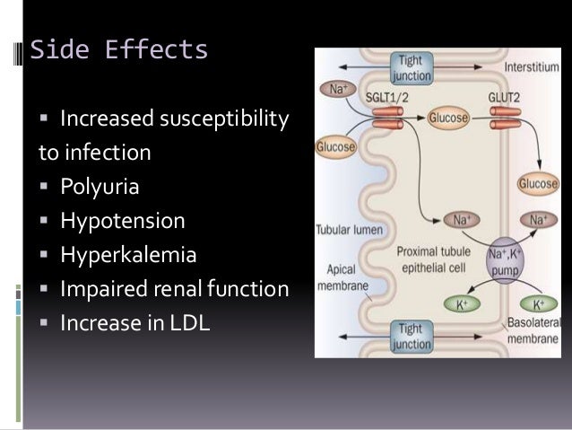 slsi.lk - how long for sulfatrim to work | Phrase, simply what are the side effects of ...