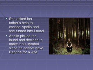 Daphne | PPT
