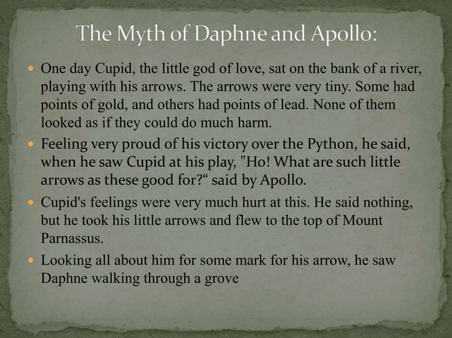 Daphne | PPT