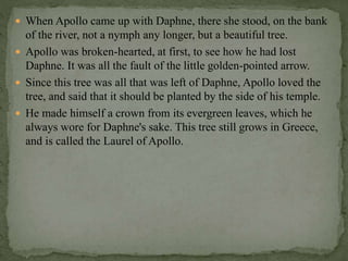 Daphne | PPT