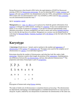 Dapi | DOCX | Genetics | Science