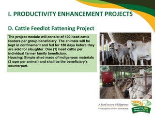 Da Plant, Plant, plant Program | PPTX