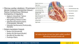 Jarigan Endhotel pada sistem cardiovasculer | PPTX