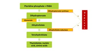 DAPSONE drug uses, mechanism and review dermatology | PPTX