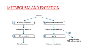 DAPSONE drug uses, mechanism and review dermatology | PPTX