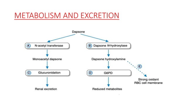 DAPSONE drug uses, mechanism and review dermatology | PPTX