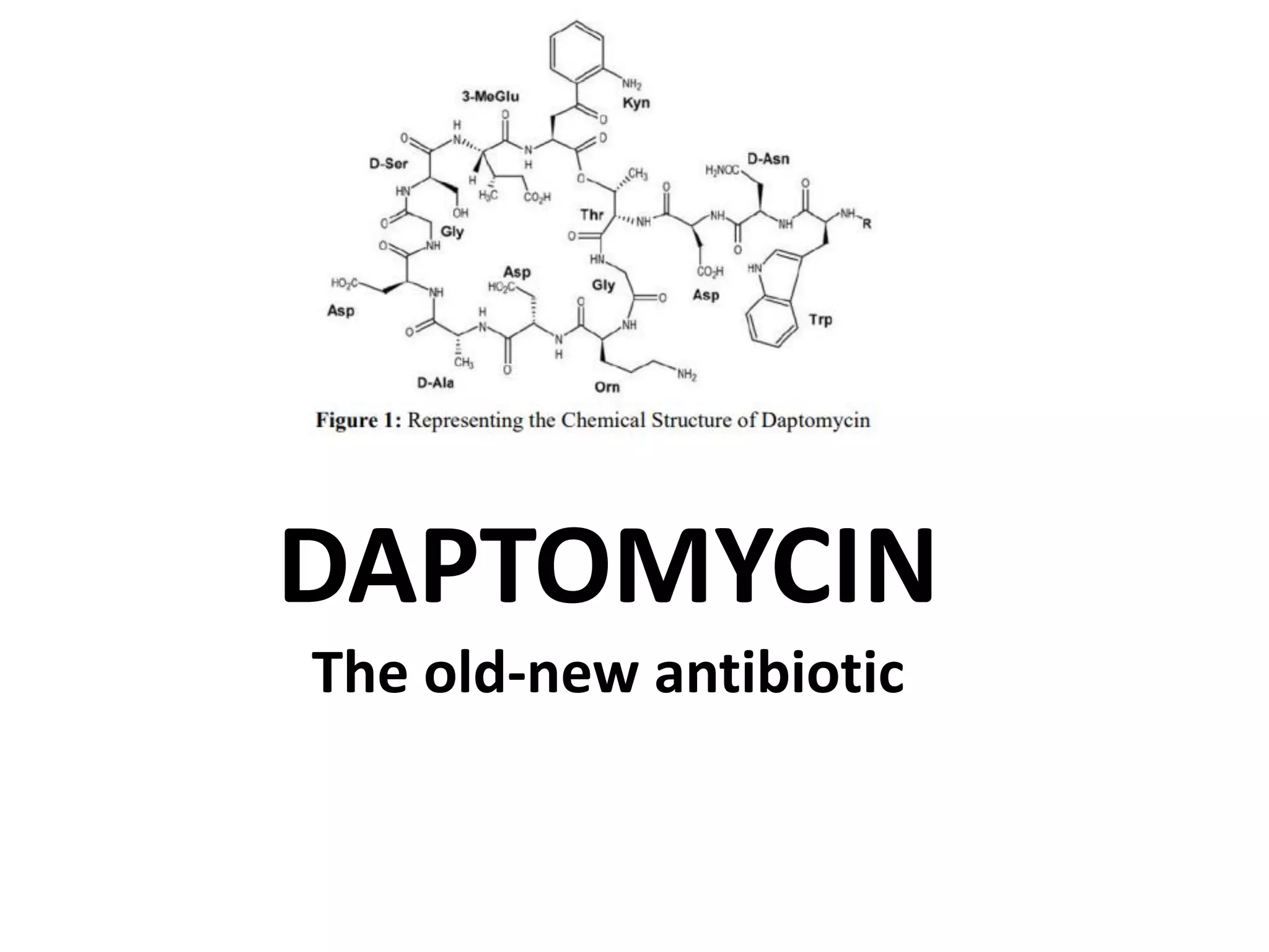 daptomycin.pdf
