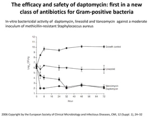 daptomycin.pdf