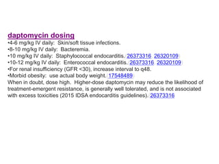 daptomycin.pdf
