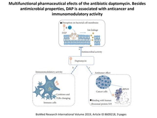 daptomycin.pdf