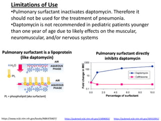 daptomycin.pdf