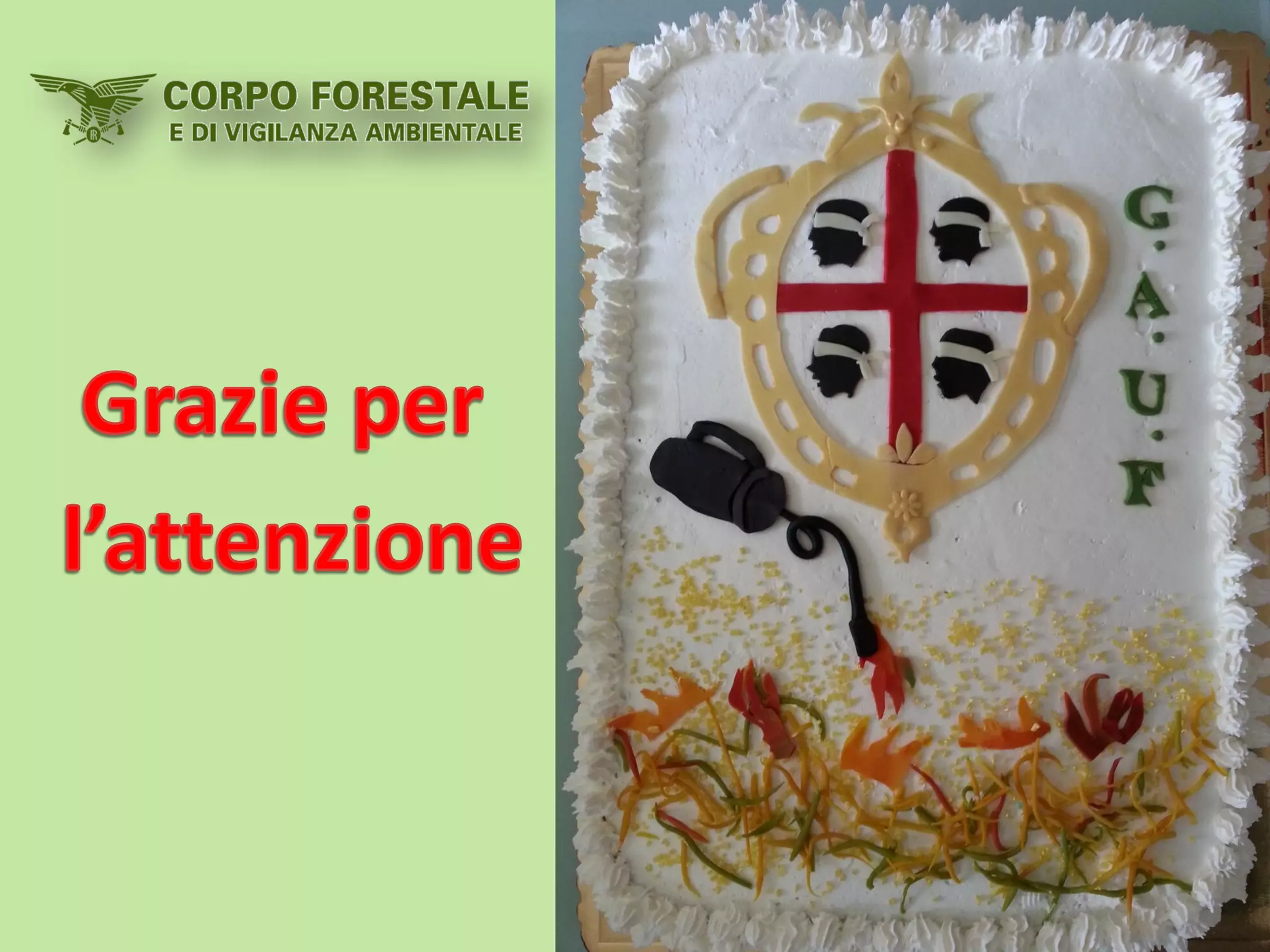 REAS 2015 - GAUF Corpo Forestale e Vigilanza Ambientale | PDF