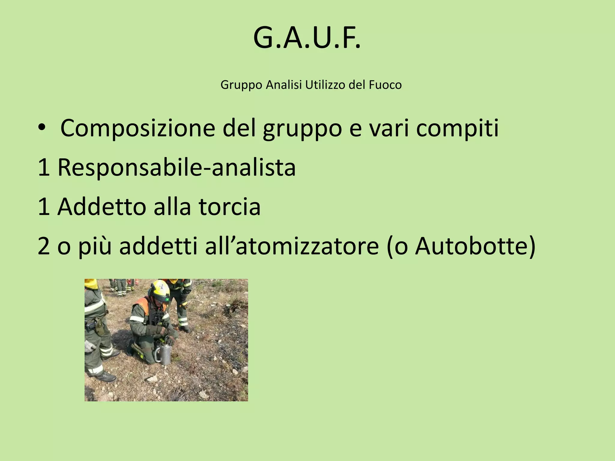 REAS 2015 - GAUF Corpo Forestale e Vigilanza Ambientale | PDF