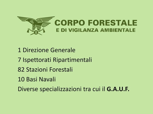 REAS 2015 - GAUF Corpo Forestale e Vigilanza Ambientale | PPT