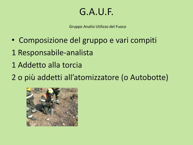 REAS 2015 - GAUF Corpo Forestale e Vigilanza Ambientale | PPT