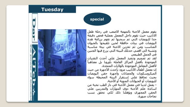 Dar elteb-editorial-calendar | PPT