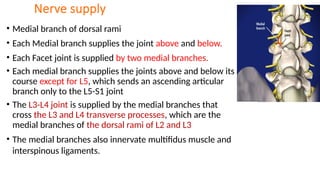 Lumbar Facet Joint Pain – A Pain Generator Based Diagnostic & Treatment ...