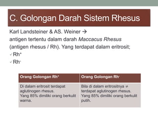 Darah | PPT