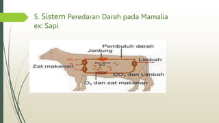 SISTEM PEREDARAN DARAH.pptx