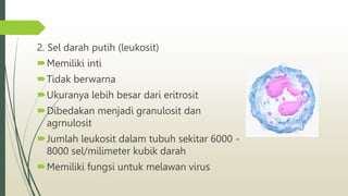 SISTEM PEREDARAN DARAH.pptx