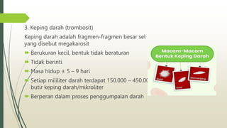 SISTEM PEREDARAN DARAH.pptx