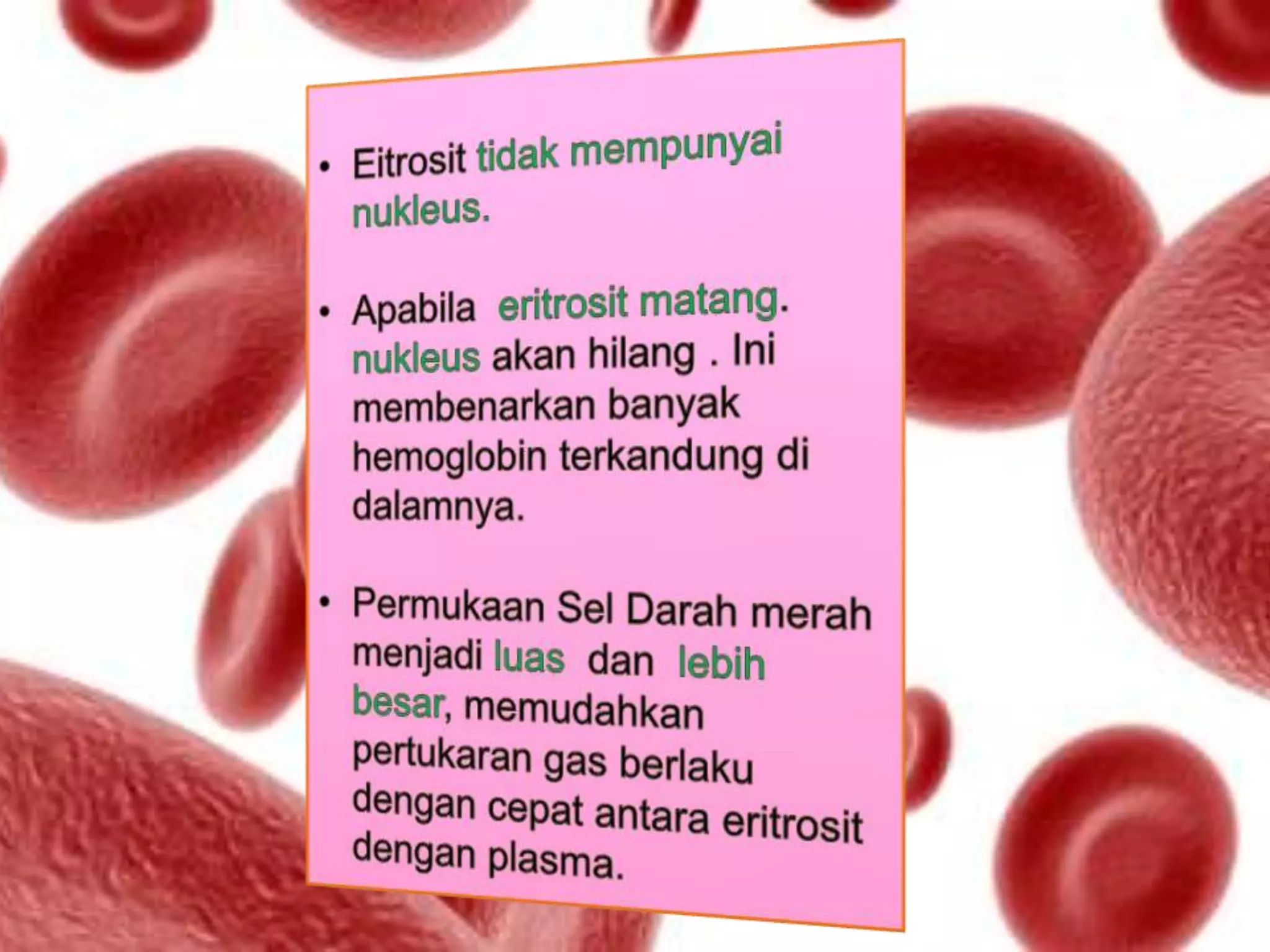 Darah anatomi fisiologi edit3 | PPTX