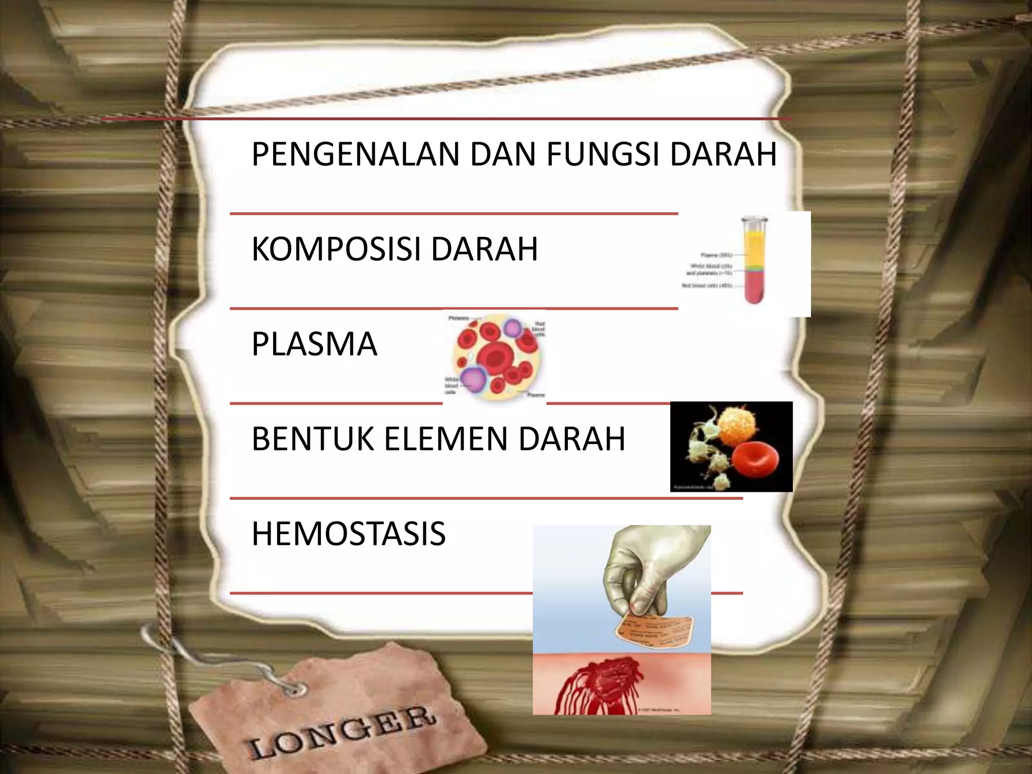 Darah anatomi fisiologi edit3 | PPTX