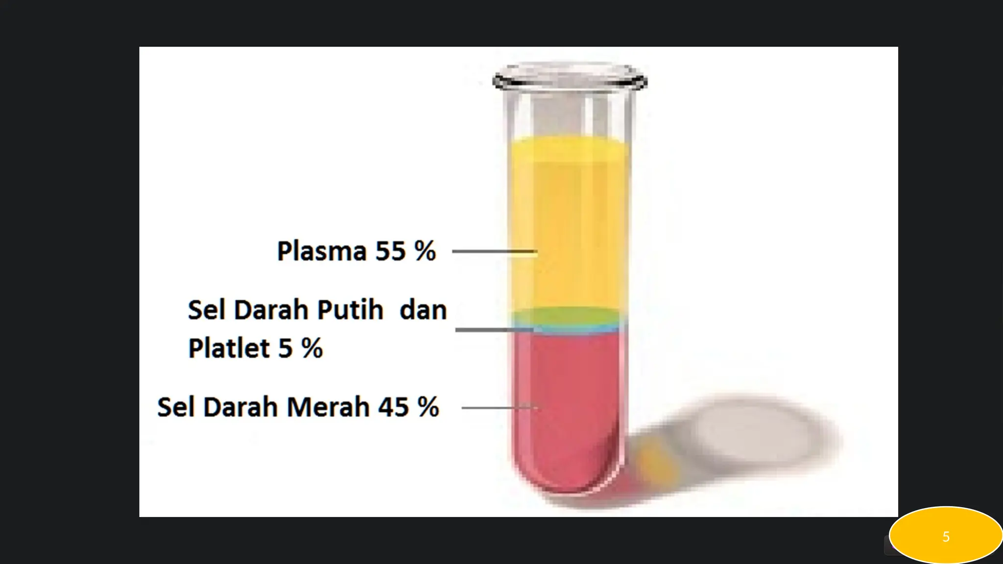 Darah, komponen, fungsi tiap komponen,type | PPTX