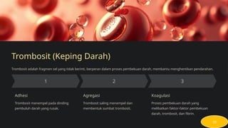 Darah, komponen, fungsi tiap komponen,type | PPTX