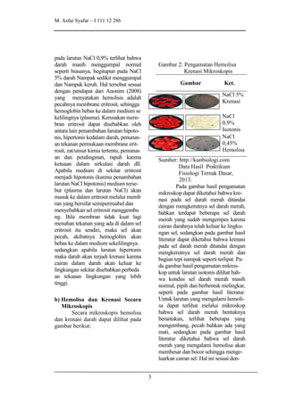 Darah ii hemolisa krenasi | DOCX
