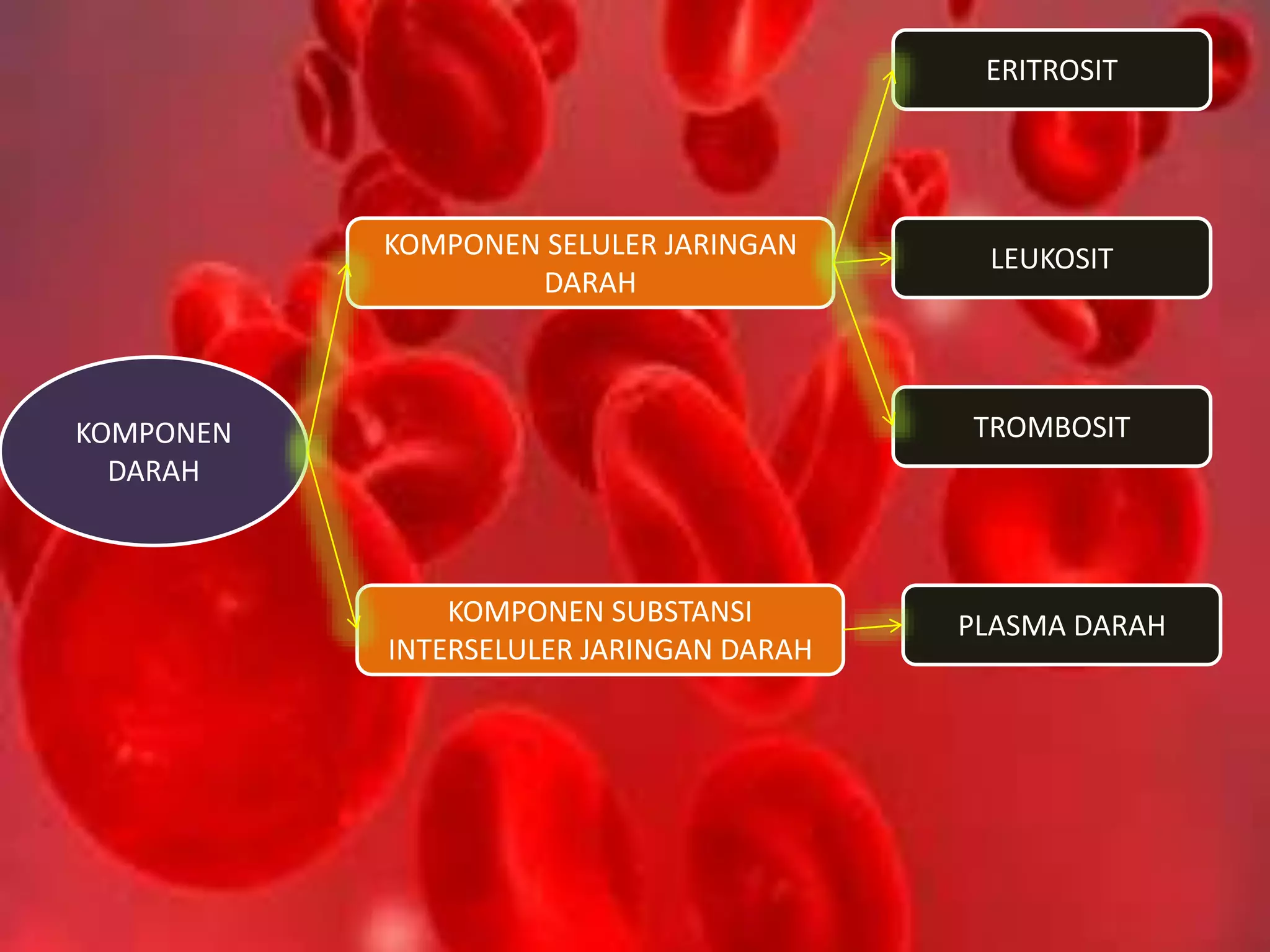 Jaringan Darah (Blood Tissue) | PPTX